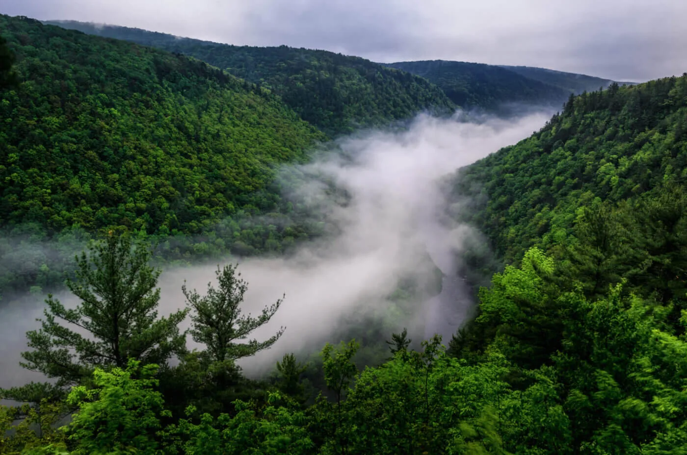 7 Natural Wonders in Pennsylvania: Uncovering Nature’s Hidden Gems ...