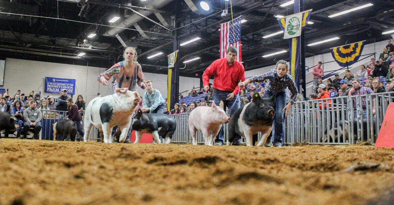 The PA Farm Show: A Harrisburg Tradition - Experience Pennsylvania