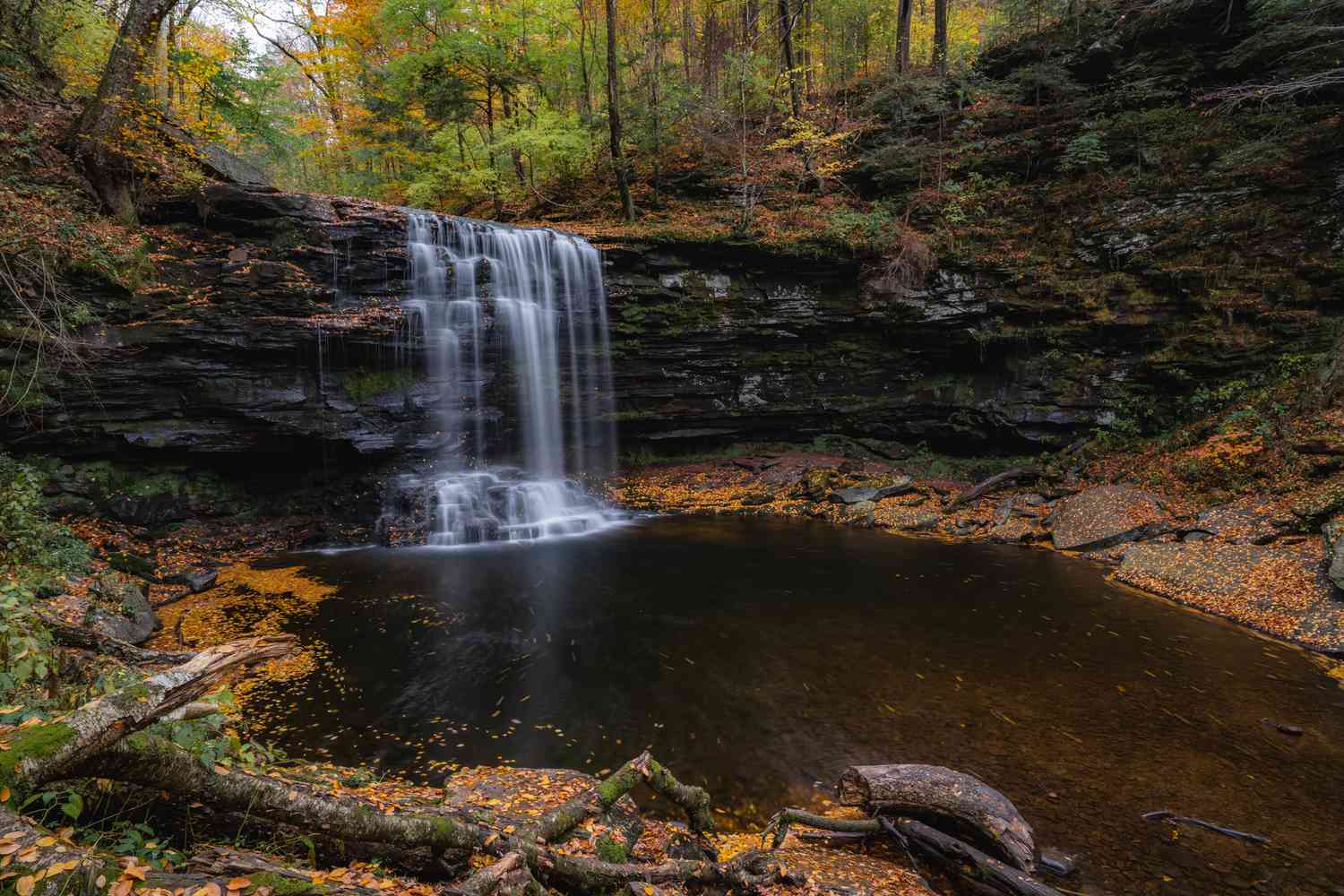 Pennsylvania's State Parks: A Comprehensive Guide and List - Experience ...