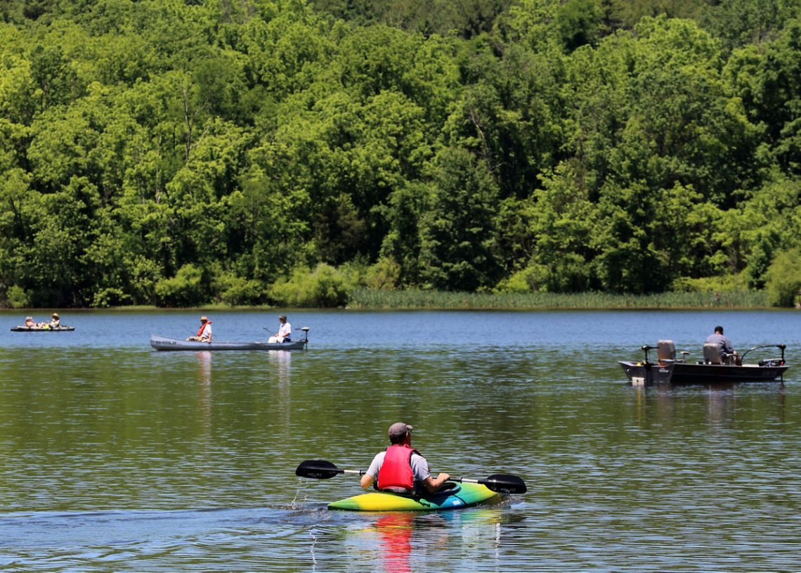 The Mütter Museum: A Portal to the Peculiar Side of Human Anatomy ...