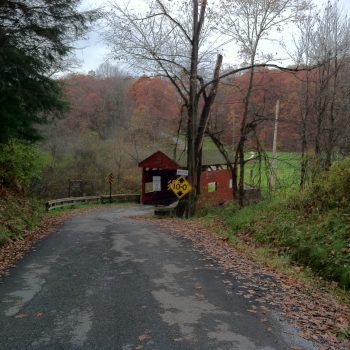 Colton Point State Park: Pennsylvania’s Canyon from Above - Experience ...
