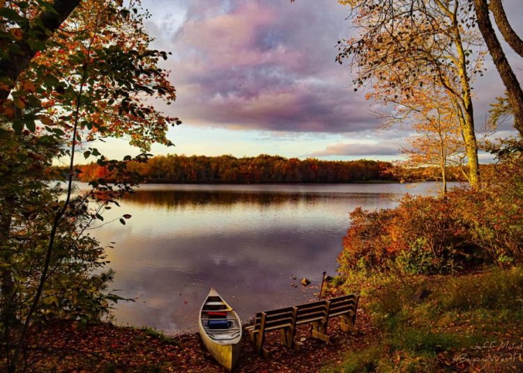 Hyner View State Park: Gateway to Endless Horizons - Experience ...